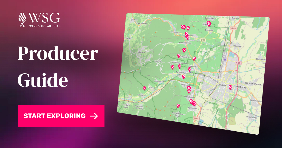 Explore 500+ Wine Producers – WSG Producer Guide Trial